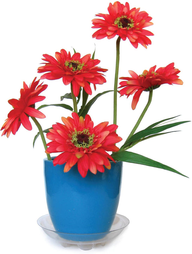 Products – Potted
